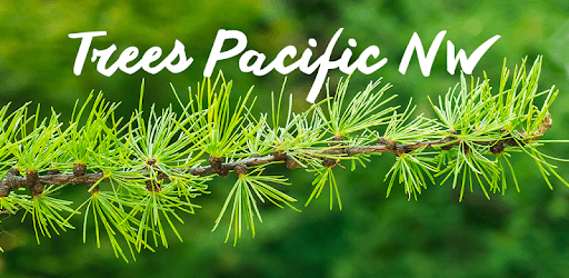 Trees PNW for PC - How to Install on Windows PC, Mac