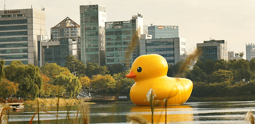 Funny Rubber Duck Sounds for PC - How to Install on Windows PC, Mac