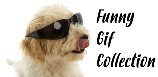 Funny Gif collection for PC - How to Install on Windows PC, Mac
