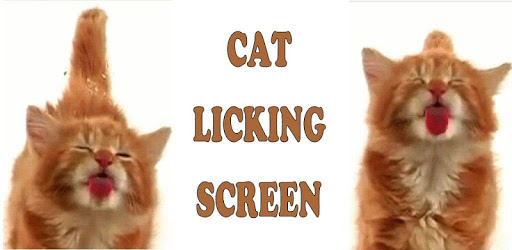 Cat Licking Screen for PC - How to Install on Windows PC, Mac