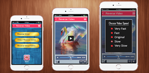 Reverse Effect Video Maker for PC - How to Install on Windows PC, Mac