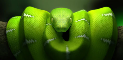 Snake Live Wallpaper PRO Free for PC - How to Install on Windows PC, Mac