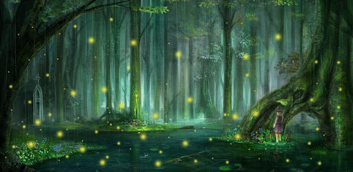 Fireflies Drops Live Wallpaper for PC - How to Install on Windows PC, Mac