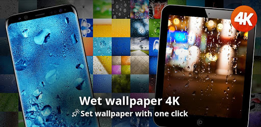 Wet wallpaper 4K for PC - How to Install on Windows PC, Mac