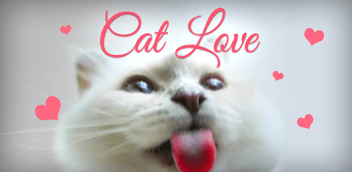 Cat Love Animated Keyboard + Live Wallpaper for PC - How to Install on ...