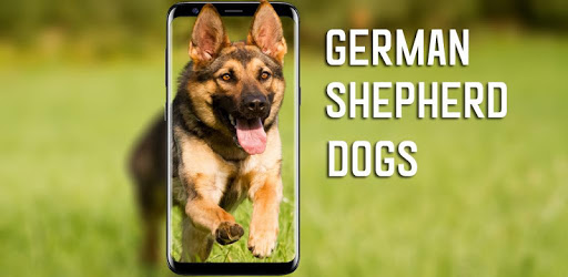 German Shepherd Dog Lock Screen for PC - How to Install on Windows PC, Mac