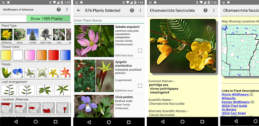 Michigan Wildflowers for PC - How to Install on Windows PC, Mac
