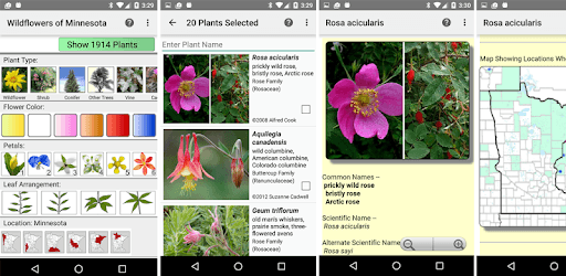 Ohio Wildflowers for PC - How to Install on Windows PC, Mac