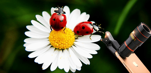 HD Camera free for PC - How to Install on Windows PC, Mac