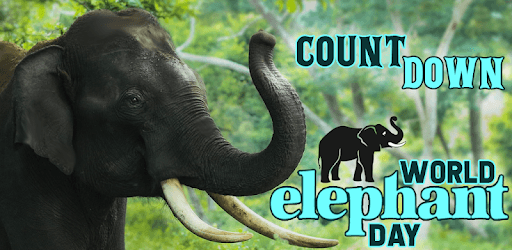 World Elephant Day Countdown for PC - How to Install on Windows PC, Mac