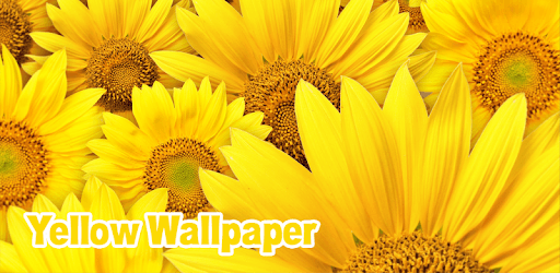 Yellow Wallpaper for PC - How to Install on Windows PC, Mac