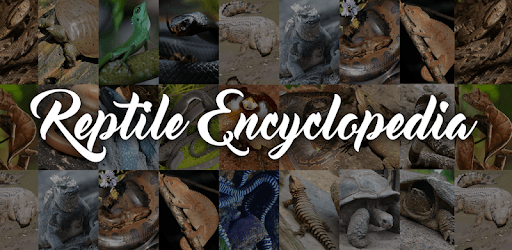 Reptile Animal Encyclopedia for PC - How to Install on Windows PC, Mac