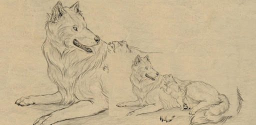 Animal Drawing Tutorials for PC - How to Install on Windows PC, Mac