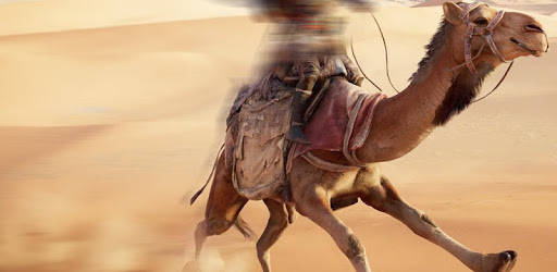 Camel Race Dubai Camel Simulator for PC - How to Install on Windows PC, Mac