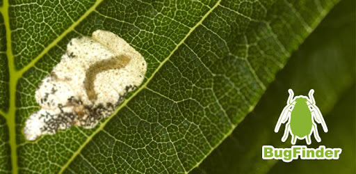 BugFinder for PC - How to Install on Windows PC, Mac