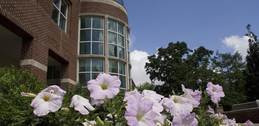 Truman Mobile for PC - How to Install on Windows PC, Mac