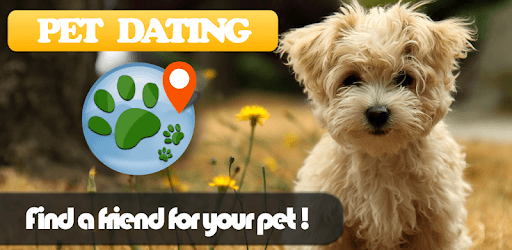 Pet Dating Free for PC - How to Install on Windows PC, Mac