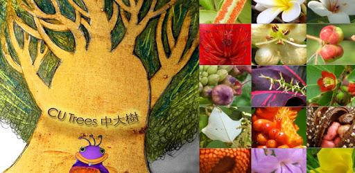 CU Trees for PC - How to Install on Windows PC, Mac