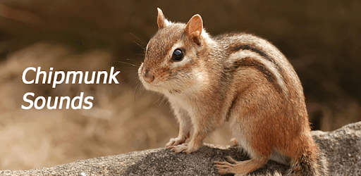 Appp.io - Chipmunk Sounds for PC - How to Install on Windows PC, Mac