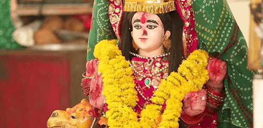 Dashama for PC - How to Install on Windows PC, Mac