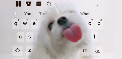 Cute Dog Live Keyboard APK Download For Free