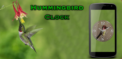 Hummingbird Clock Live WP for PC - How to Install on Windows PC, Mac
