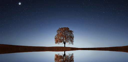 Mindfulness: A Mindful Way for PC - How to Install on Windows PC, Mac