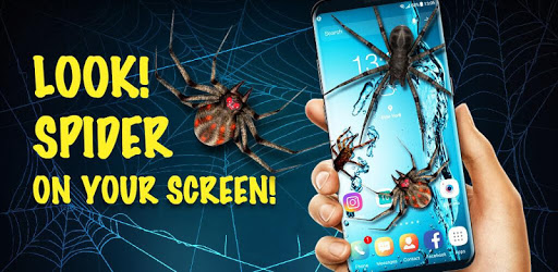 3D Spider on Screen Live Wallpaper for Prank APK Download For Free