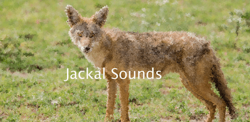 Jackal Sounds ~ Sboard.pro for PC - How to Install on Windows PC, Mac
