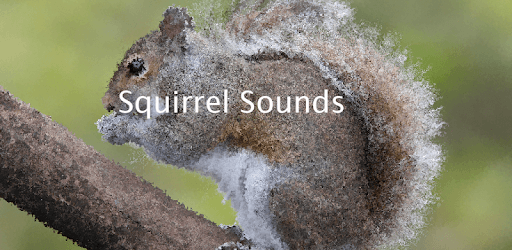 Squirrel Sounds ~ Sboard.pro for PC - How to Install on Windows PC, Mac