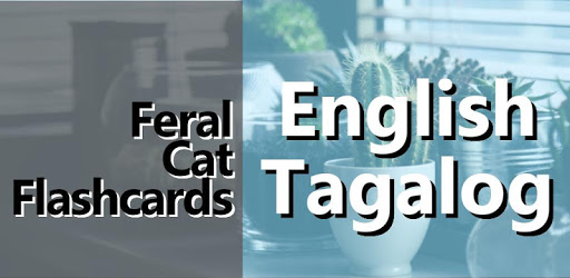 Learn English Tagalog Vocabulary, Verbs, & Grammar for PC - How to ...