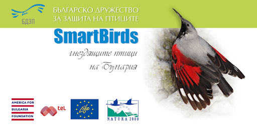 SmartBirds for PC - How to Install on Windows PC, Mac