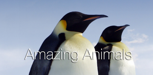 Amazing Animals for PC - How to Install on Windows PC, Mac