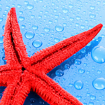 10,000+ Wallpapers HD for PC - How to Install on Windows PC, Mac