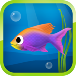 Best Hungry Fish for PC - How to Install on Windows PC, Mac