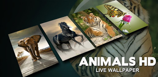 Animals HD Live Wallpaper for PC - How to Install on Windows PC, Mac