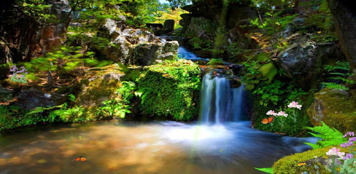 Animated Background Gif for PC - How to Install on Windows PC, Mac