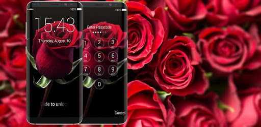 Rose Lock Screen & Wallpaper for PC - How to Install on Windows PC, Mac