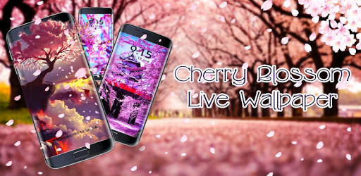 Cherry Blossom APUS Live Wallpaper for PC - How to Install on Windows ...