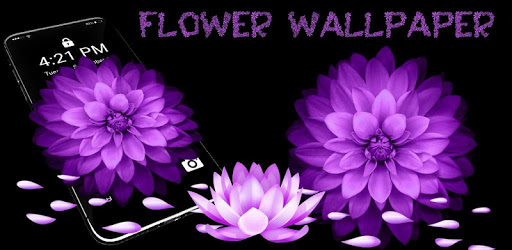 Purple Flower APUS live wallpaper for PC - How to Install on Windows PC ...