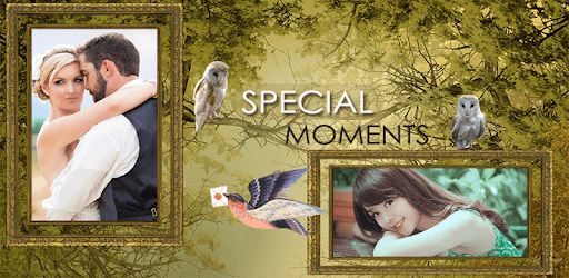 Birds Dual Photo Frames for PC - How to Install on Windows PC, Mac