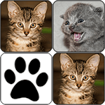 Cats Memory Game for PC - How to Install on Windows PC, Mac