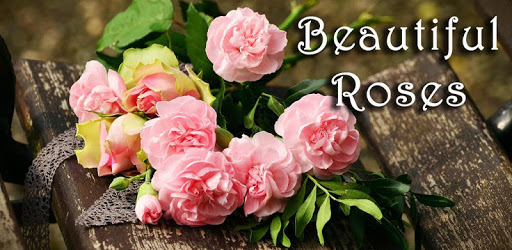 Rose Gif Collection for PC - How to Install on Windows PC, Mac