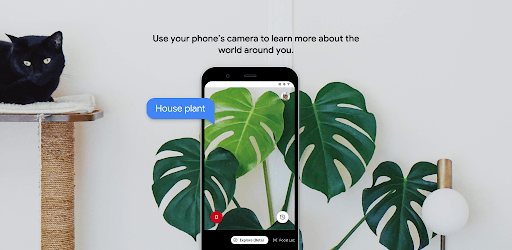 Lookout by Google for PC - How to Install on Windows PC, Mac