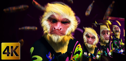Dance Monkey 4K Live Wallpaper for PC - How to Install on Windows PC, Mac