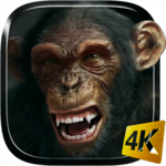 Talking Monkey Live Wallpaper for PC - How to Install on Windows PC, Mac