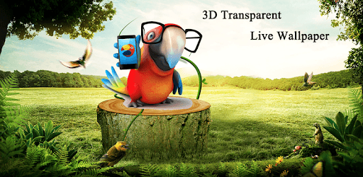 Funny Bird Pecking Crystal Screen Live Wallpaper for PC - How to ...