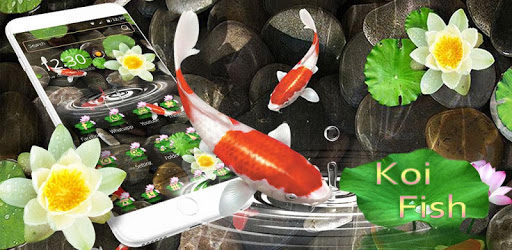 Live Koi Fish Pond Theme for PC - How to Install on Windows PC, Mac