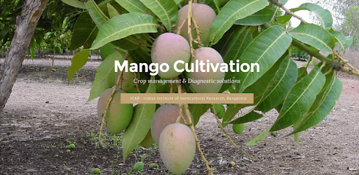 Mango Cultivation IIHR for PC - How to Install on Windows PC, Mac