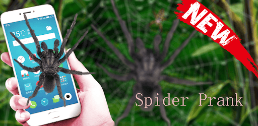 Real Spider Crawl In Screen Prank Classic for PC - How to Install on ...
